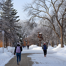 Powered by D2L Brightspace